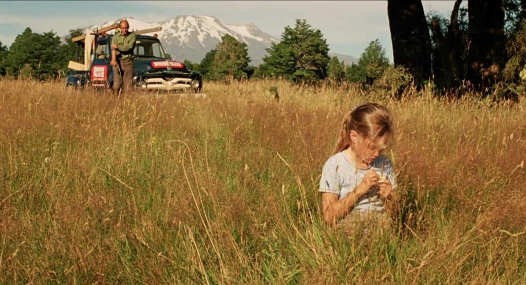 SMASH PALACE Blu-ray Review | Film Pulse