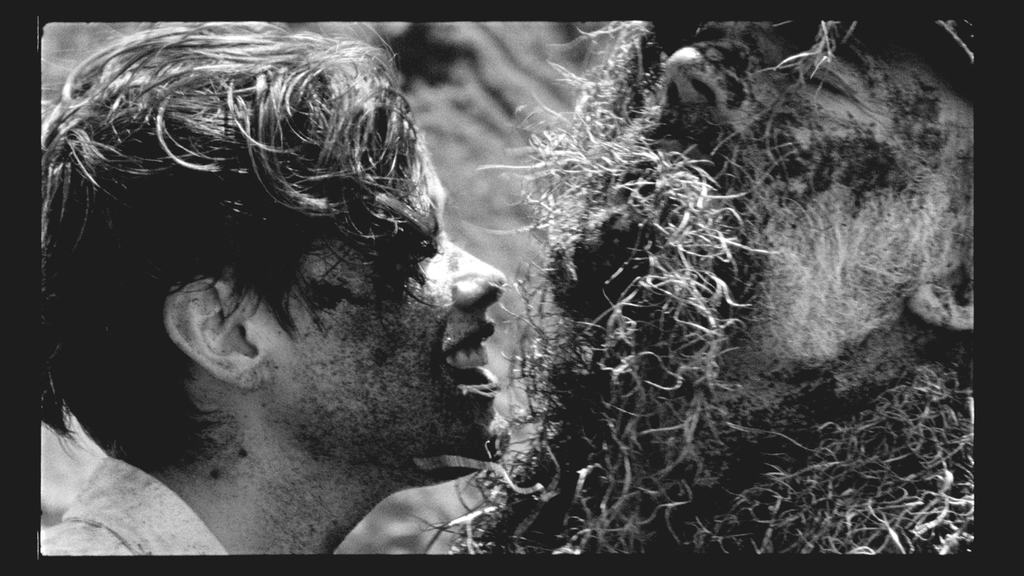 THE WILD BOYS Review | Film Pulse